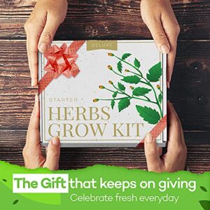 Deluxe Herb Garden Kit – Unique Gardening Gifts for Women - 8 Variety Culinary Herb Garden Kit Indoor & Outdoor – Cooking Gifts for Gardeners, Plant Gifts for Mom Who Has Everything This Christmas