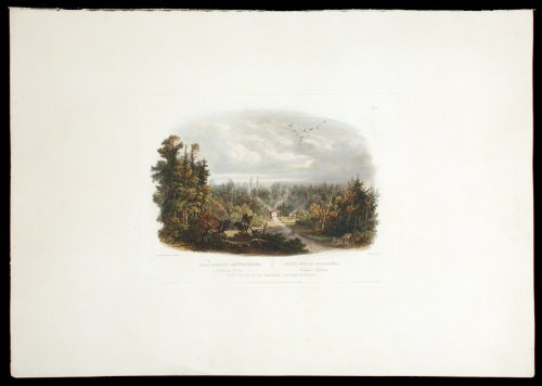 Forest Scene on the Tobihanna; Alleghany Mountains