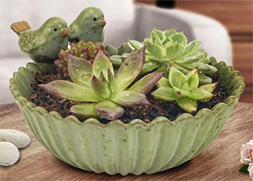 Small Bird Flower Pots Succulent Planters Special Design Fun Garden Animal Ceramic Pots with Hole for Home Office Desktop Decoration