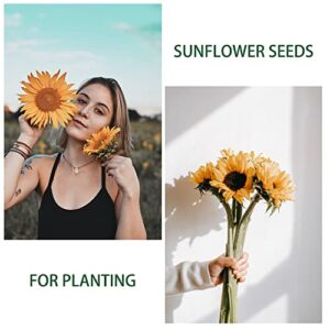 1000+ Mix Sunflower Seeds for Planting Heirloom and Non-GMO Easy to Plant and Grow - 10 Varieties Seeds for Outdoor Garden