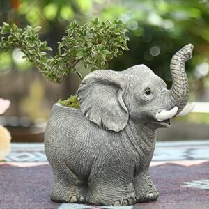 Ylncicn Elephant Planter Succulent Pots Retro Flower Pots. Elephant Gifts for Women. Aunt Garden Yard Flower Succulent Bonsai Bed Trough Plant DIY Pot Home Desktop Decoration