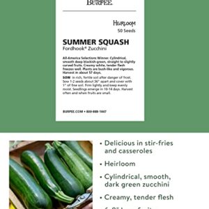 Burpee Fordhook Zucchini Summer Squash Seeds 50 seeds