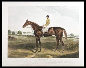 shotover, winner of the derby stakes at epsom 1882, value of the stakes ú4800 and the two thousand guineas at newmarket. got by hermit out of stray shot. the property of his grace the duke of westminster. won the ascot derby 1882. trained by john porter –