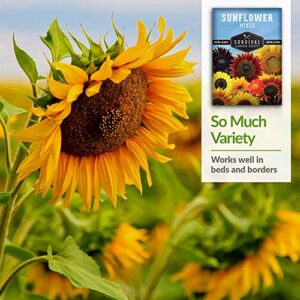 Survival Garden Seeds - Mix of Popular Sunflower Seeds for Planting - Packet with Instructions to Plant and Grow Beautiful Flowers in Your Home Vegetable or Flower Garden - Non-GMO Heirloom Varieties