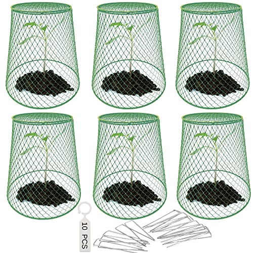 RE GOODS Chicken Wire Plant Cover – 6 Garden Cloche Baskets, Cage Protectors from Animals and Rabbits, Includes 18 Garden Stakes and 10 Waterproof Labels (Green)