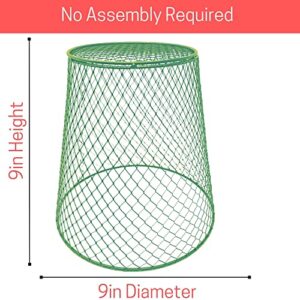 RE GOODS Chicken Wire Plant Cover – 6 Garden Cloche Baskets, Cage Protectors from Animals and Rabbits, Includes 18 Garden Stakes and 10 Waterproof Labels (Green)