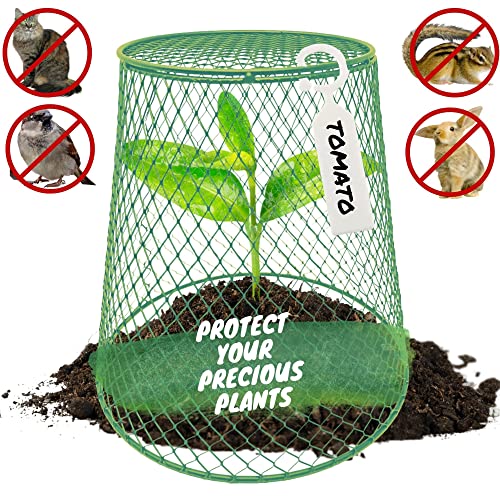 RE GOODS Chicken Wire Plant Cover – 6 Garden Cloche Baskets, Cage Protectors from Animals and Rabbits, Includes 18 Garden Stakes and 10 Waterproof Labels (Green)