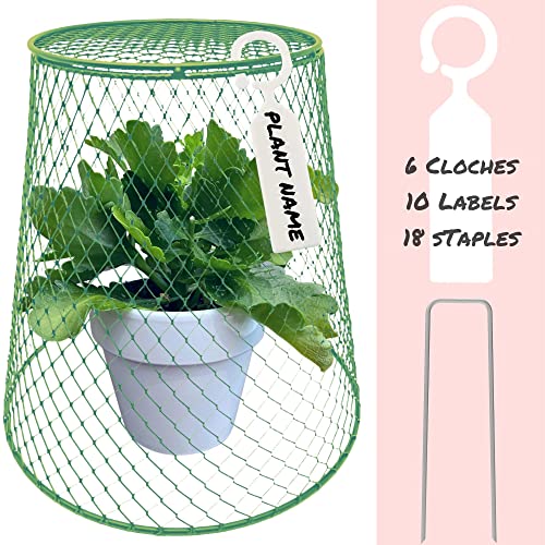 RE GOODS Chicken Wire Plant Cover – 6 Garden Cloche Baskets, Cage Protectors from Animals and Rabbits, Includes 18 Garden Stakes and 10 Waterproof Labels (Green)