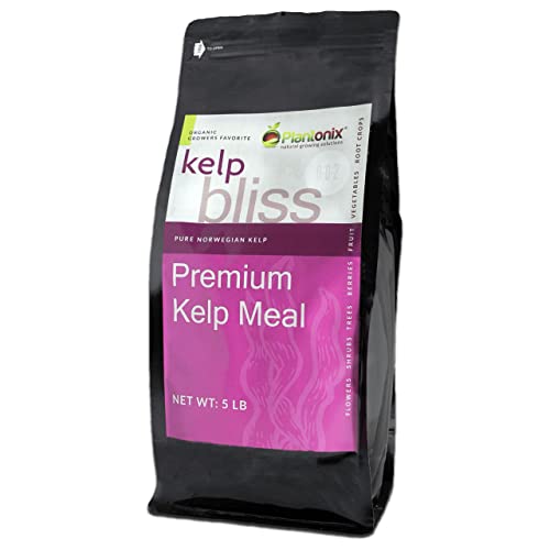 Kelp Bliss - Pure Kelp Meal - Organic Kelp Fertilizer for Growing Healthy Plants, Crops, and Gardens! Increases Fruit and Vegetable Yield! (5 lbs)