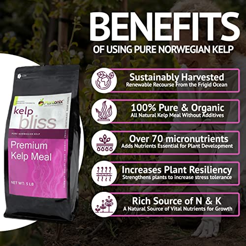 Kelp Bliss - Pure Kelp Meal - Organic Kelp Fertilizer for Growing Healthy Plants, Crops, and Gardens! Increases Fruit and Vegetable Yield! (5 lbs)