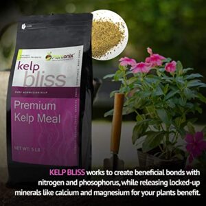 Kelp Bliss - Pure Kelp Meal - Organic Kelp Fertilizer for Growing Healthy Plants, Crops, and Gardens! Increases Fruit and Vegetable Yield! (5 lbs)