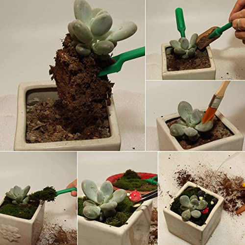 Ginsco 7pcs Succulent Transplanting Miniature Fairy Garden Planting Gardening Hand Tools Set