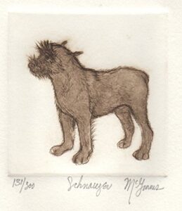 schnauzer