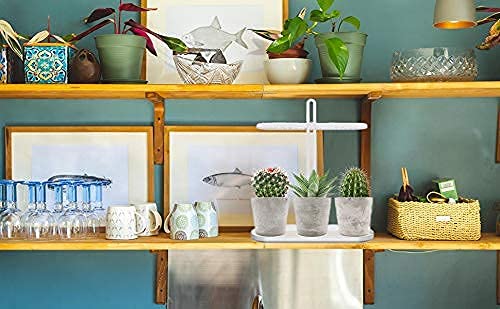 DIGLAB Indoor Garden Led Grow Light:Herb Seeds Kitchen Garden Grow Kit - House Plant Growing Lamps Growing System with Timer