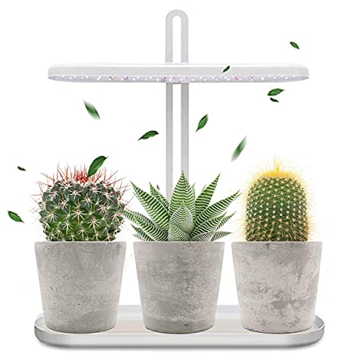 DIGLAB Indoor Garden Led Grow Light:Herb Seeds Kitchen Garden Grow Kit - House Plant Growing Lamps Growing System with Timer