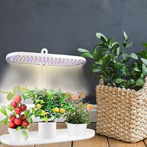 DIGLAB Indoor Garden Led Grow Light:Herb Seeds Kitchen Garden Grow Kit - House Plant Growing Lamps Growing System with Timer