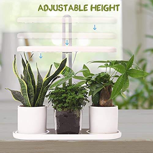 DIGLAB Indoor Garden Led Grow Light:Herb Seeds Kitchen Garden Grow Kit - House Plant Growing Lamps Growing System with Timer