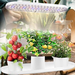 DIGLAB Indoor Garden Led Grow Light:Herb Seeds Kitchen Garden Grow Kit - House Plant Growing Lamps Growing System with Timer