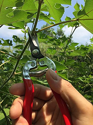 gonicc Professional Micro-Tip Pruning Snip (GPPS-1008), Small Garden Hand Pruner & shears For Arranging Flowers, Trimming Plants & Hydroponic Herbs, And Harvesting Fruits & Vegetables.