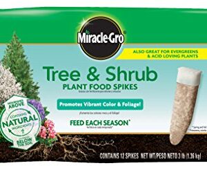 Miracle-Gro Tree & Shrub Plant Food Spikes, 12 Spikes/Pack, 12 count (Pack of 1)