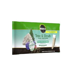 Miracle-Gro Tree & Shrub Plant Food Spikes, 12 Spikes/Pack, 12 count (Pack of 1)