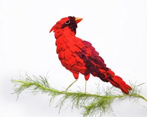 cardinal