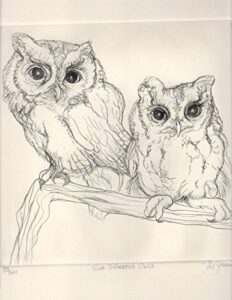 two screech owls