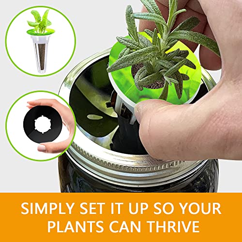 Kratky Lids Wide Mouth Hydroponic Garden Compatible with Aerogarden Mason Jar Indoor Planting Includes 10 Lids 10 Plant Labels 10 Planter Baskets 10 Charcoal