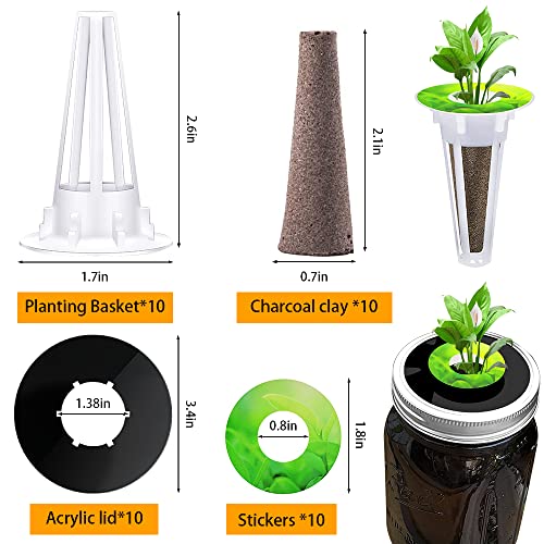 Kratky Lids Wide Mouth Hydroponic Garden Compatible with Aerogarden Mason Jar Indoor Planting Includes 10 Lids 10 Plant Labels 10 Planter Baskets 10 Charcoal