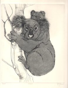 koalas