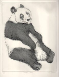 giant panda