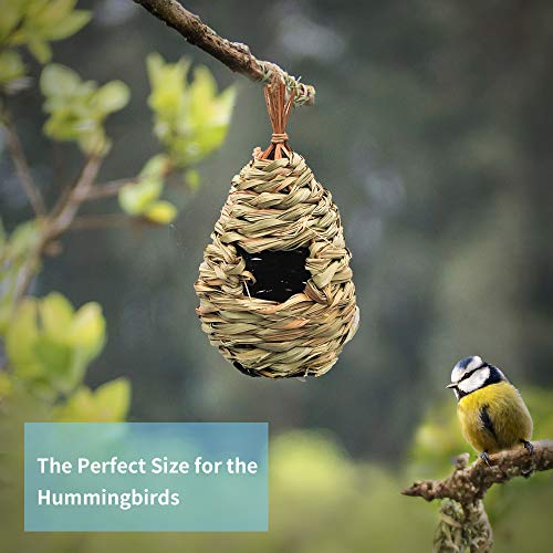 Gute Hummingbird House for Outside, Grass Hanging Wren Finch Song Birds House for Nesting, Hand Woven Hummingbird Nest for Outdoor Tree Decorations Gardening Gift, 2 Pack