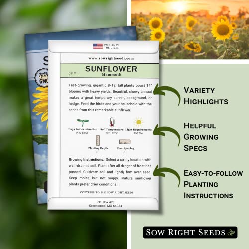 Sow Right Seeds - Mammoth Sunflower Seeds for Planting - Grow Giant Grey Stripe Sun Flowers in Your Garden - Non-GMO Heirloom Seeds with Full Instructions for Planting Bright Sunflowers at Home (3)