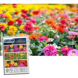 “state fair mix” zinnia flower seeds for planting, 100+ seeds per packet, (isla’s garden seeds), non gmo & heirloom seeds, scientific name: zinnia elegans, great home garden gift