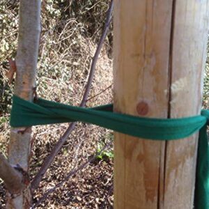 Biostretch Extra Wide Tree Ties and Large Plant String | Environmentally Smart Soft Green Plant Support and Garden Twine (Bio Extra Wide 26 ft / 8M)