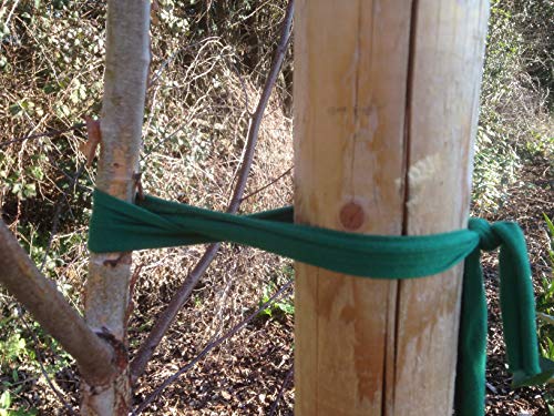 Biostretch Extra Wide Tree Ties and Large Plant String | Environmentally Smart Soft Green Plant Support and Garden Twine (Bio Extra Wide 26 ft / 8M)