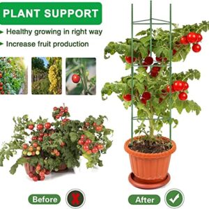 3 Packs Tomato Cages Plant Cages Deformable Up to 48inch Garden Tomato Stakes Vegetable Trellis, Plant Supports Tomato Trellis for Vertical Climbing Plants Flowers Fruits