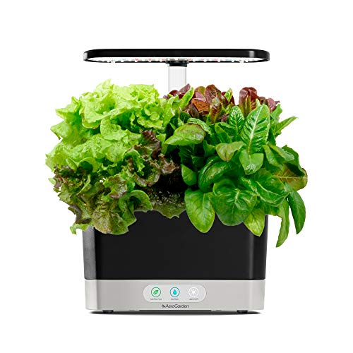 AeroGarden Heirloom Salad Greens Mix Seed Pod Kit - Salad Kit for AeroGarden Indoor Garden, 6-Pod