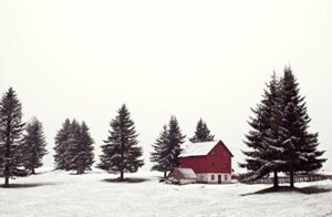 the red house