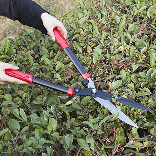 OARA Garden Hedge Shears forTrimming Borders, Boxwood, and Bushes, Hedge Clippers & Shears with Comfort Grip Handles,21 Inch Carbon Steel Bush Cutter