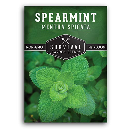 Survival Garden Seeds - Spearmint Seed for Planting - Mentha Spicata Packet with Instructions to Plant Delicious Herbs and Grow Your Home Herb Garden - Non-GMO Heirloom Variety