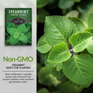 Survival Garden Seeds - Spearmint Seed for Planting - Mentha Spicata Packet with Instructions to Plant Delicious Herbs and Grow Your Home Herb Garden - Non-GMO Heirloom Variety