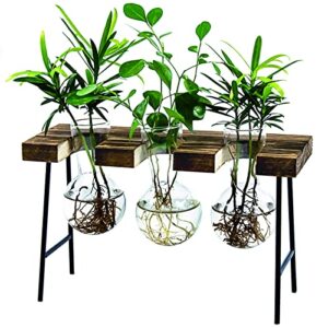 leses plant propagation stations desktop air plant terrarium, glass planter bulb glass vase with wood stand propagation station for hydroponics plants home office garden decor