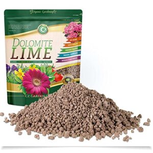 Organic Dolomite Lime - Made in USA - Garden Soil Amendment Fertilizer for Lawns, Plants & Organic Gardens. Calcium/Magnesium Additive. Safely Raise & Stabilize pH. Cures Blossom End Rot in Tomatoes