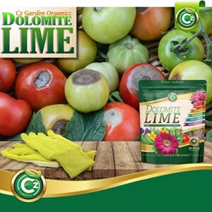 Organic Dolomite Lime - Made in USA - Garden Soil Amendment Fertilizer for Lawns, Plants & Organic Gardens. Calcium/Magnesium Additive. Safely Raise & Stabilize pH. Cures Blossom End Rot in Tomatoes