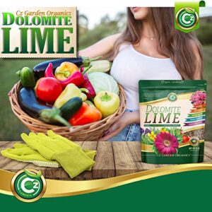 Organic Dolomite Lime - Made in USA - Garden Soil Amendment Fertilizer for Lawns, Plants & Organic Gardens. Calcium/Magnesium Additive. Safely Raise & Stabilize pH. Cures Blossom End Rot in Tomatoes