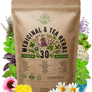 30 Medicinal & Tea Herb Seeds Variety Pack for Planting Indoor & Outdoors. 7000+ Non-GMO Heirloom Herbal Garden Seeds: Anise, Bergamot, Borage, Cilantro, Chamomile, Dandelion, Rosemary Seeds & More