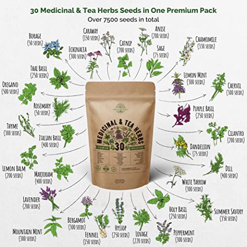 30 Medicinal & Tea Herb Seeds Variety Pack for Planting Indoor & Outdoors. 7000+ Non-GMO Heirloom Herbal Garden Seeds: Anise, Bergamot, Borage, Cilantro, Chamomile, Dandelion, Rosemary Seeds & More