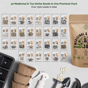 30 Medicinal & Tea Herb Seeds Variety Pack for Planting Indoor & Outdoors. 7000+ Non-GMO Heirloom Herbal Garden Seeds: Anise, Bergamot, Borage, Cilantro, Chamomile, Dandelion, Rosemary Seeds & More