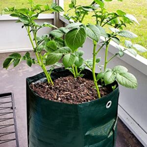 4 Pack 10 Gallon Garden Potato Grow Bags with Flap and Handles Aeration Fabric Pots Heavy Duty Vegetable Planter Bag for Tomato, Fruits